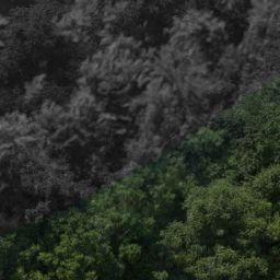 University of Pikeville Interactive Campus AnyMap